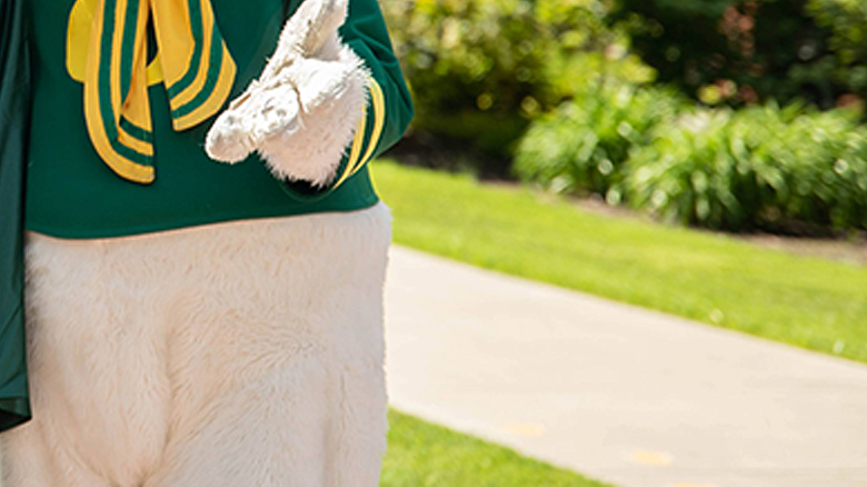 What Sets Us Apart | College of Education